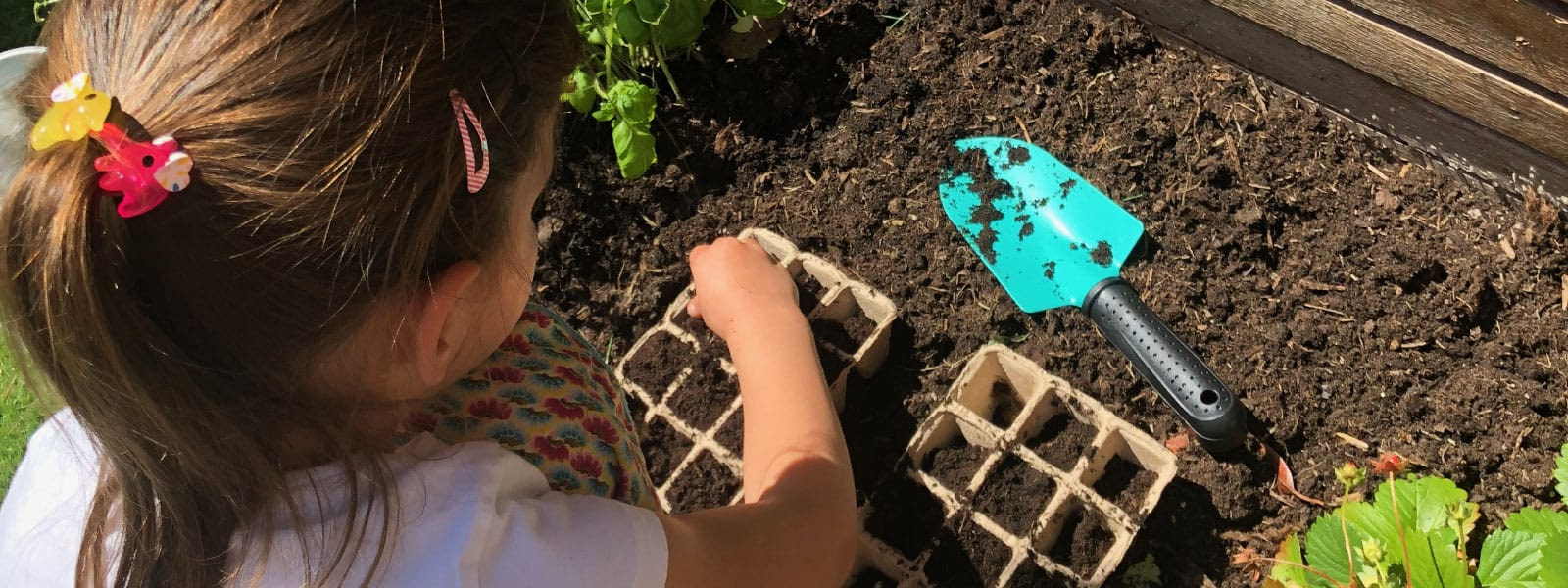 Kids Vegetable Garden; 5 Simple Steps To Growing Your Own Veggies