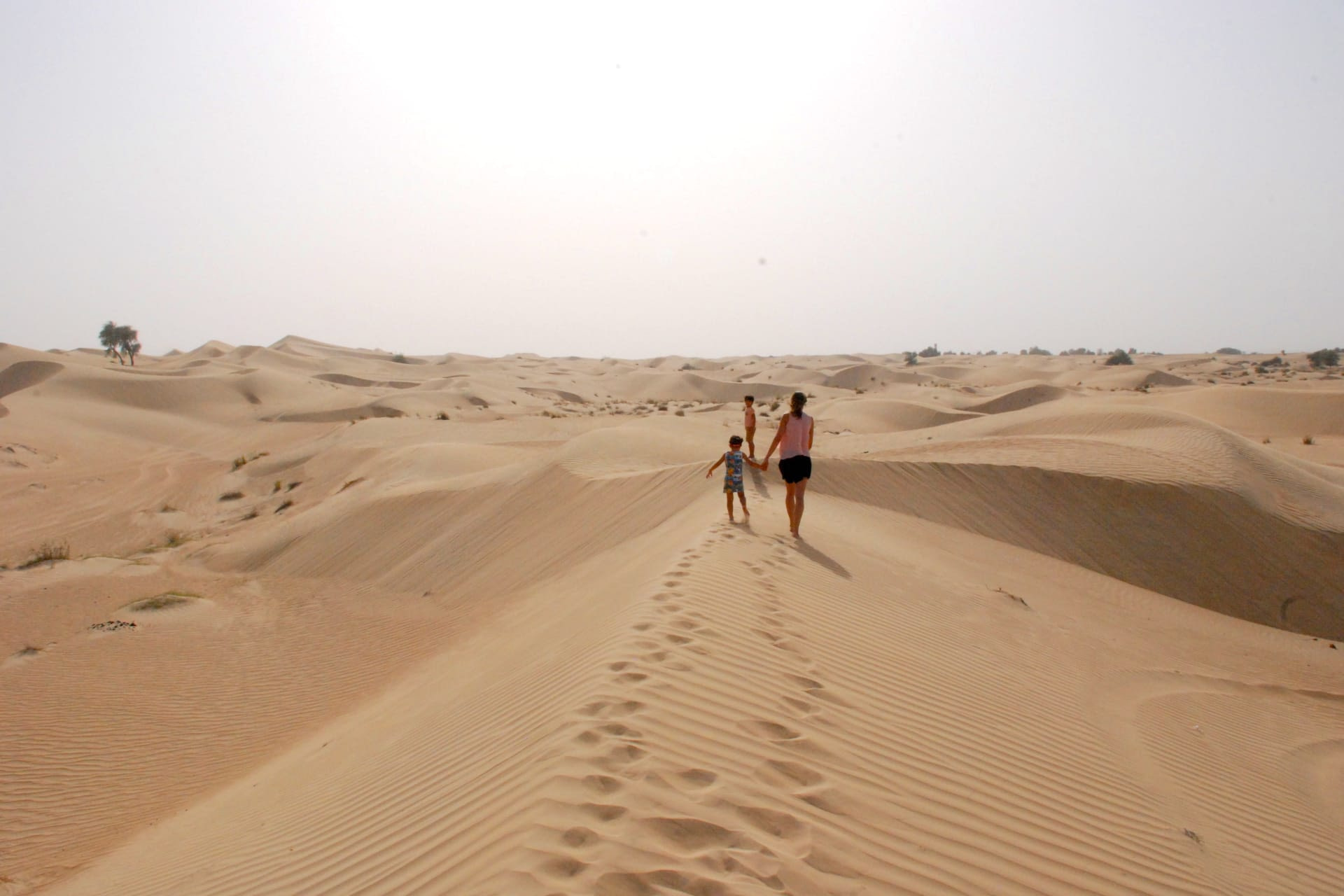 Outdoor Activities For Kids And Parents To Try Right Now